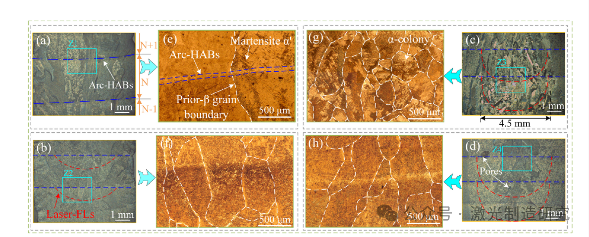 《MSEA》: 振荡激光电弧定向能量沉积 Ti-6Al-4V 的晶粒细化和各向异性改善-材料先进技术教育部重点实验室
