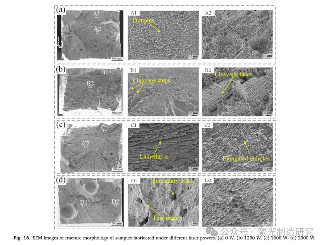 《MSEA》: 振荡激光电弧定向能量沉积 Ti-6Al-4V 的晶粒细化和各向异性改善-材料先进技术教育部重点实验室